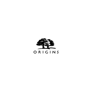 History of «ORIGINS». Development of «ORIGINS»